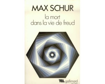 La Mort dans la vie de Freud - Max Schur, Brigitte Bost - Achat Livre ...