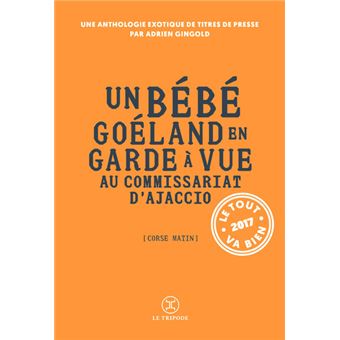 Un bébé Goéland en garde à vue au commissariat d'Ajaccio - Le tout va ...