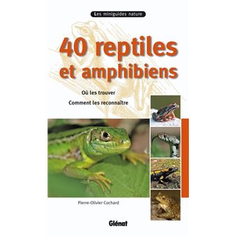 40 reptiles et amphibiens - broché - Pierre-Olivier Cochard - Achat ...