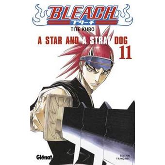 Bleach - A star and a stray dog Tome 11 - Bleach - Tome 11 - Kubo Tite - Poche - Achat Livre ou ...