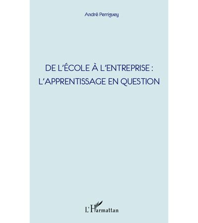 De l'école à l'entreprise : l'apprentissage en question - broché ...