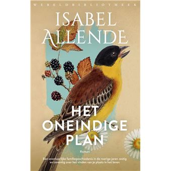 Het oneindige plan - broché - Isabel Allende, Adri Boon - Achat Livre ...