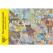 Contes symboliques des druides - broché - Thierry Chatel - Achat Livre ...