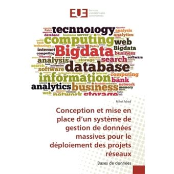 Conception et mise en place d'un système de gestion de données massives ...