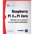 Raspberry Pi 3 ou Pi Zero - Exploitez tout le potentiel de votre nano ...