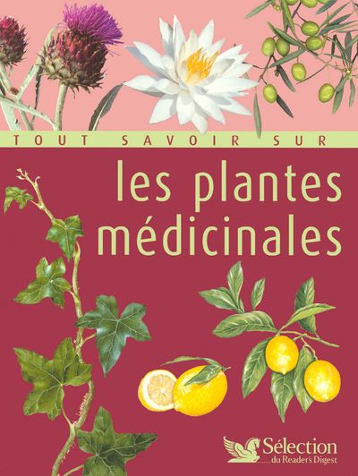 Tout savoir sur les plantes médicinales - broché - Collectif - Achat ...