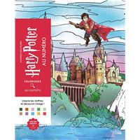 Harry Potter : biographie, bibliographie, discographie, filmographie | fnac