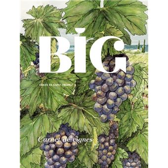 BIG – SAINT-TROPEZ N°5 / Carnet de vignes - broché - Sandrine Léon ...