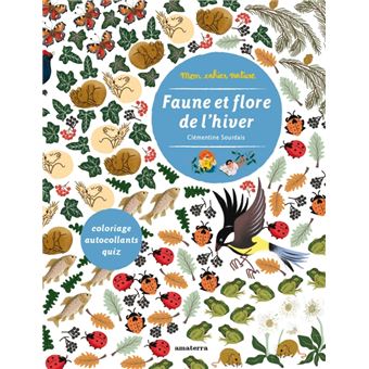 Faune et flore de l'hiver - broché - Sylvie Misslin, Clémentine Sourdais - Achat Livre | fnac
