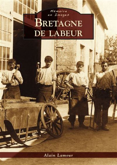 Bretagne de labeur - broché - Alain Lamour - Achat Livre | fnac