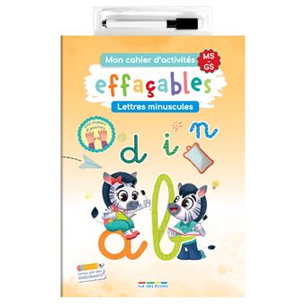 Mon cahier d'activités effaçables - Lettres minuscules MS-GS Conçu par ...