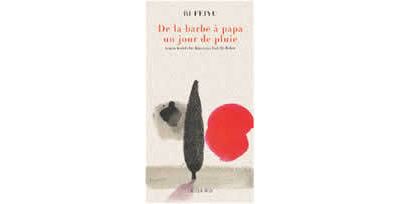 De la barbe à papa un jour de pluie - broché - Feiyu Bi, Bi Feiyu ...