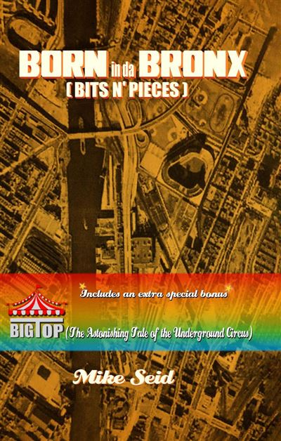 Born in da Bronx (Bits N' Pieces) - ebook (ePub illustré) - Mike Seid ...