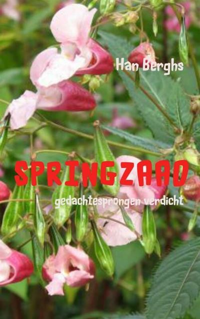 Springzaad gedachtesprongen verdicht - broché - Han Berghs - Achat ...