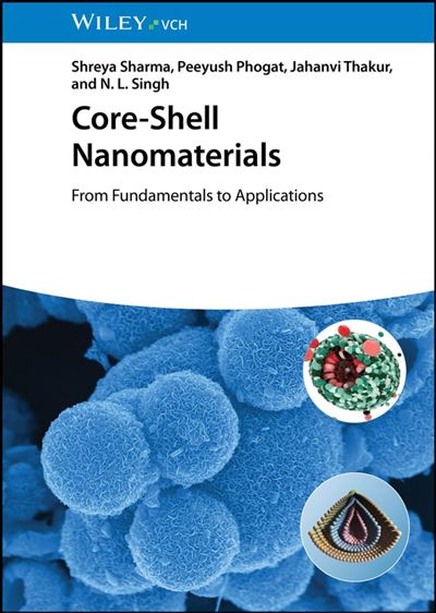Core-Shell Nanomaterials From Fundamentals to Applications - ebook ...