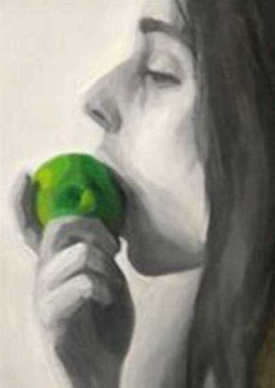 Het beeld dicht tweeluiken in woord en beeld - broché - Ronald Hoekstra ...