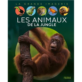 Les animaux de la jungle - cartonné - Raphaëlle Chauvelot - Achat Livre ...