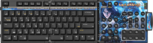 ZBoard Mód. Teclado - Guild Wars PC - Game Pad - Compra na Fnac.pt