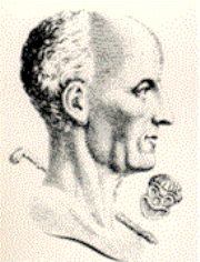 Plaute : biographie, bibliographie | fnac