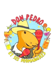 Jojo l'asticot - Don Pedro et ses dromadaires - CD album - Achat & prix | fnac