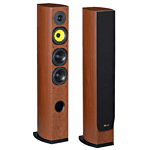 Davis Acoustics Matisse noyer par paire - Enceinte colonne - Achat ...
