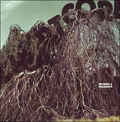 Heartcore - Wildbirds And Peacedrums - CD album - Achat & prix | fnac