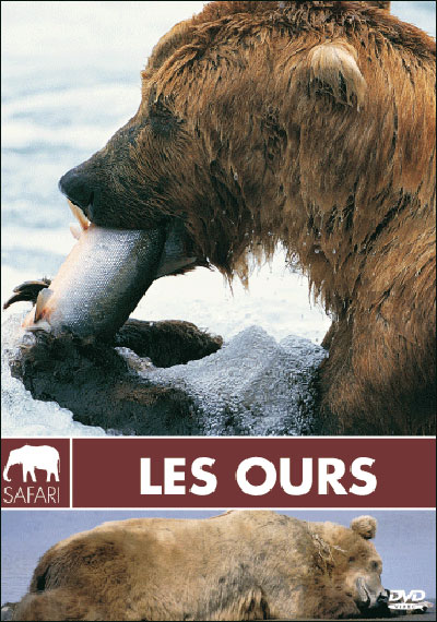 Les Ours - Collection safari - DVD Zone 2 - Achat & prix | fnac