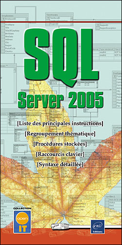 SQL Server 2005 Liste des instructions et leur syntaxe - broché - Collectif - Achat Livre | fnac
