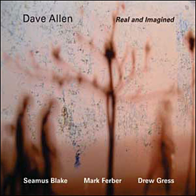 Real and Imagined - Dave Allen - CD album - Achat & prix | fnac