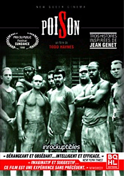 Poison - Haynes - DVD Zone 2 - Achat & prix | fnac