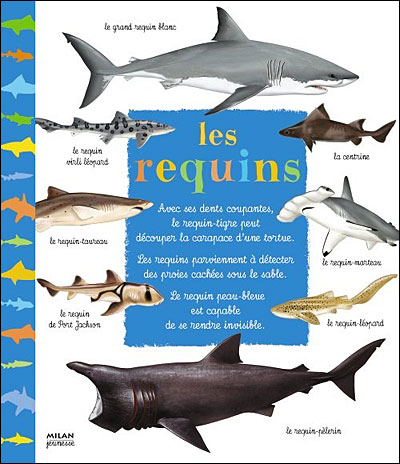 Les requins Livre avec figurines - cartonné - Patrick Louisy, Pascal ...