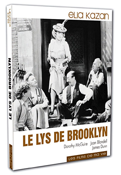 Le Lys de Brooklyn - Elia Kazan - DVD Zone 2 - Achat & prix | fnac