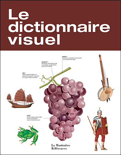 Dictionnaire visuel - cartonné - Collectif - Achat Livre | fnac