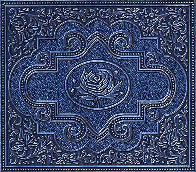 Cold roses - Edition limitée digipack - Ryan Adams - The Cardinals - CD ...