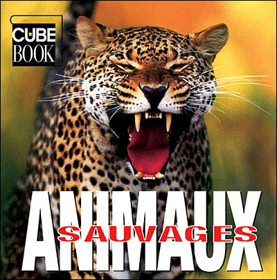 Animaux sauvages - cartonné - Valeria Manferto De Fabianis - Achat ...