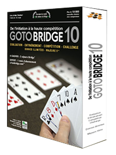 Goto Bridge 2010 - Jeux vidéo - Achat & prix | fnac