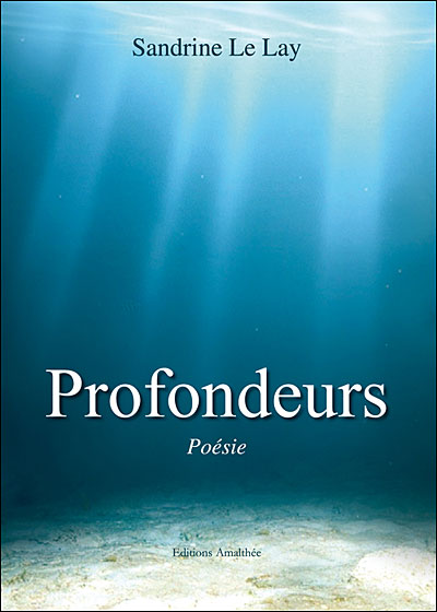 Profondeurs - broché - Stéphane Le Lay - Achat Livre | fnac