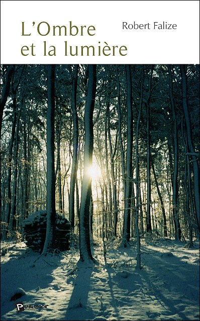 L'ombre et la lumière - relié - Robert Falize - Achat Livre | fnac