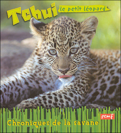 Tchui le jeune léopard - cartonné - Muriel Nicolotti - Achat Livre | fnac