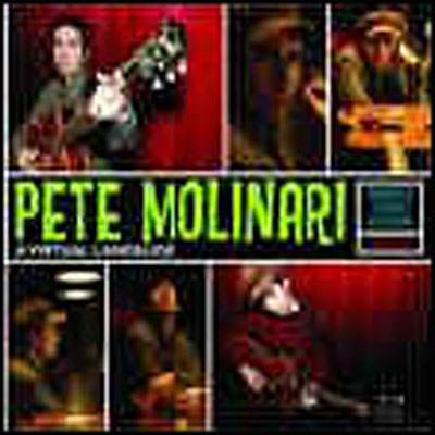 Virtual landslide - Pete Molinari - CD album - Achat & prix | fnac