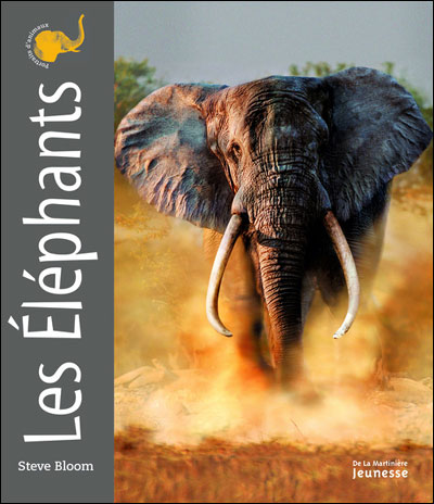 Les Eléphants. Portraits d'animaux - broché - Steve Bloom - Achat Livre ...