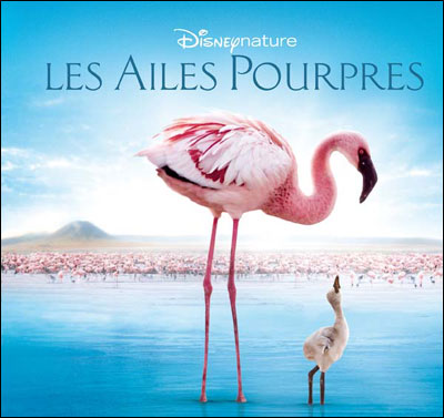 Les ailes pourpres - cartonné - Collectif - Achat Livre | fnac