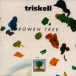 Rowen tree - An Triskell - CD album - Achat & prix | fnac