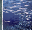 Fluxion - Ocean - CD album - Achat & prix | fnac