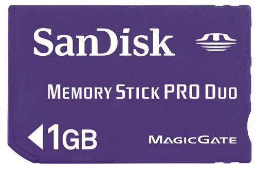 Sandisk Carte Memory Stick Pro Duo 1 Go - Cartes Memory Stick - Achat ...